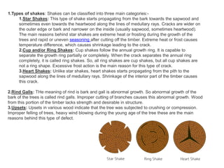 Industrial project in timber(FRI) | PDF