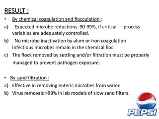 project report on quality control in PEPSICO HAJIPUR | PPTX