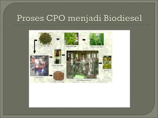 CPO & BIOdiesel | PPT