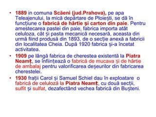 Industria de celuloza, hartie si fibre artificiale | PPT