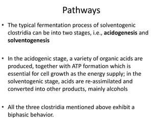 acetone fermentation | PPTX