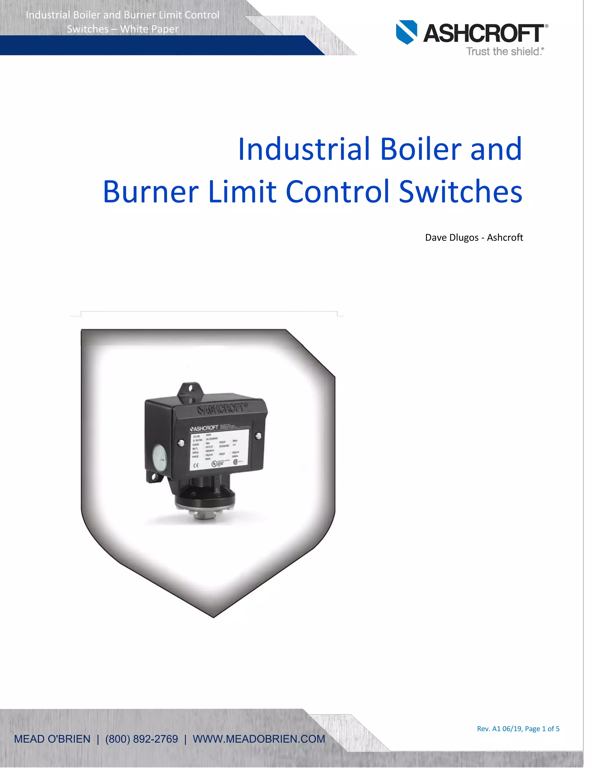 Industrial Boiler and Burner Limit Control Switches | PDF