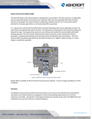 Industrial Boiler and Burner Limit Control Switches | PDF