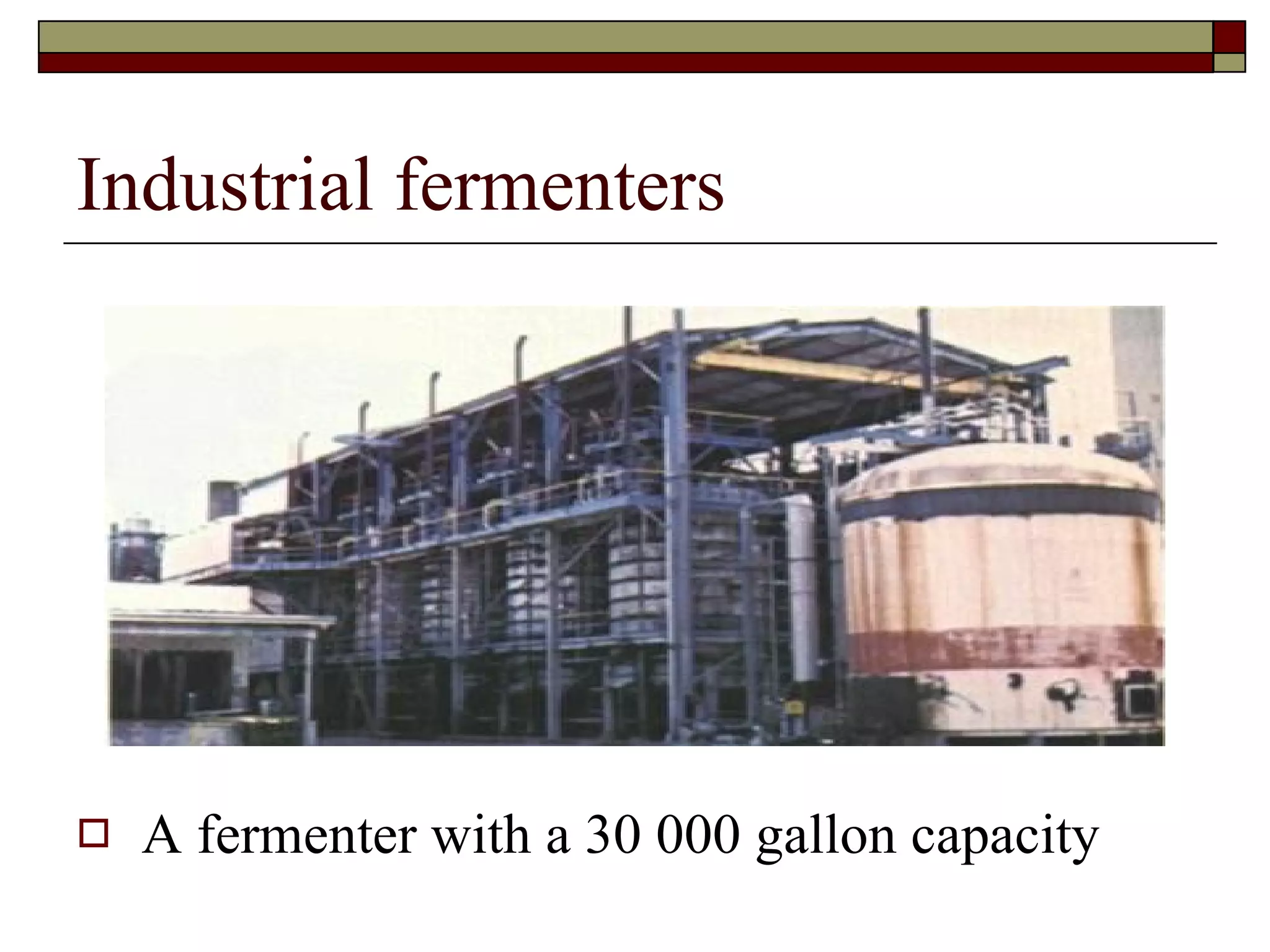 Industrial Fermenters | PPT
