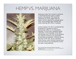 Industrial Hemp: The Incredible Weed | PDF