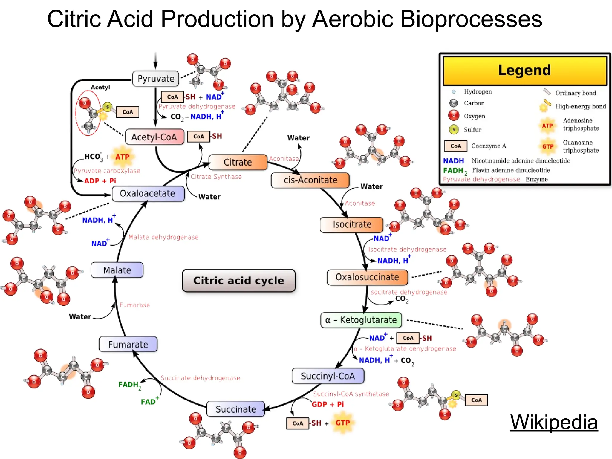 industrial-production-of-citric-acid.ppt