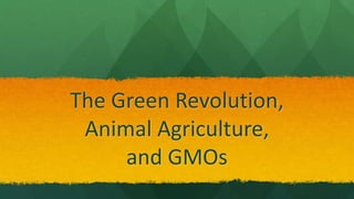 The Green Revolution, Animal Agriculture, and GMOs | PPTX | Agriculture ...