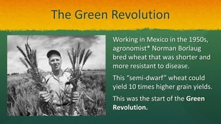 The Green Revolution, Animal Agriculture, and GMOs | PPTX | Agriculture ...