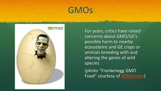 The Green Revolution, Animal Agriculture, and GMOs | PPTX | Agriculture ...