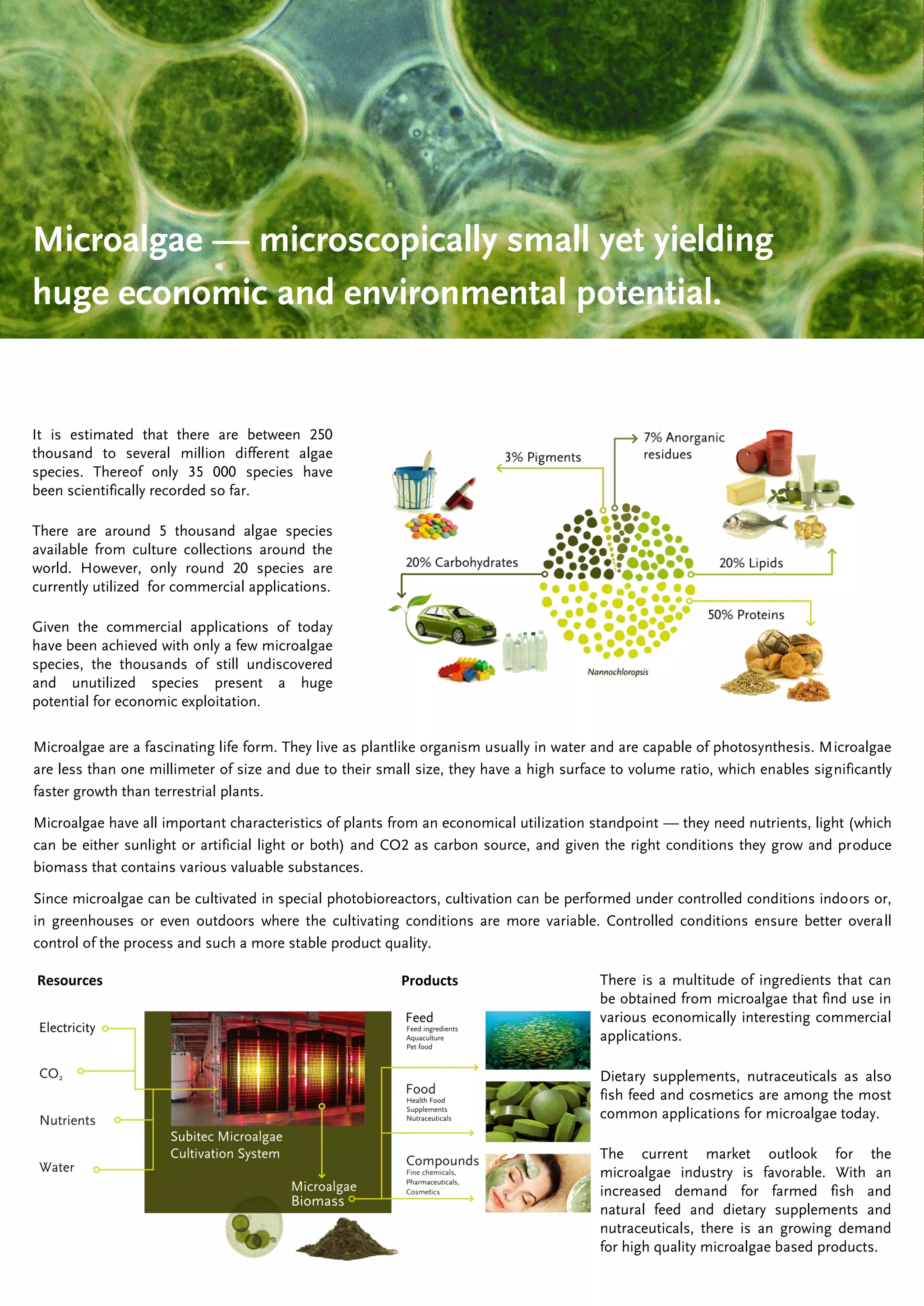 Commercial Microalgae Cultivation | PDF