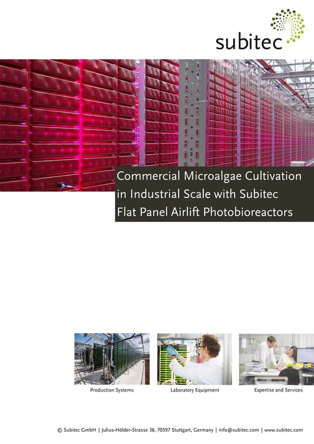 Commercial Microalgae Cultivation | PDF