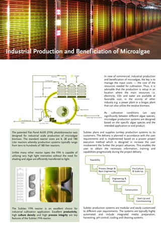 Commercial Microalgae Cultivation | PDF