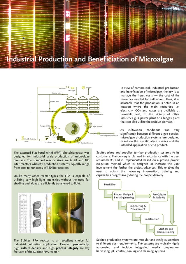 Commercial Microalgae Cultivation | PDF