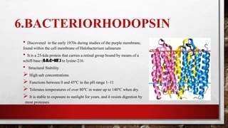 Industrial and environmental applications of halophilic microorganisms ...