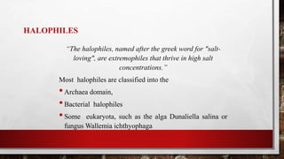 Industrial and environmental applications of halophilic microorganisms ...