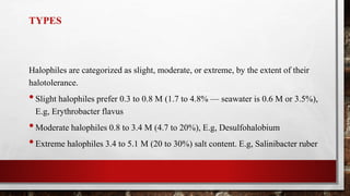 Industrial and environmental applications of halophilic microorganisms ...