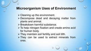 Industrial and environmental Microbiology pptx.pptx
