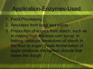 Industrial applications of enzymes | PPTX