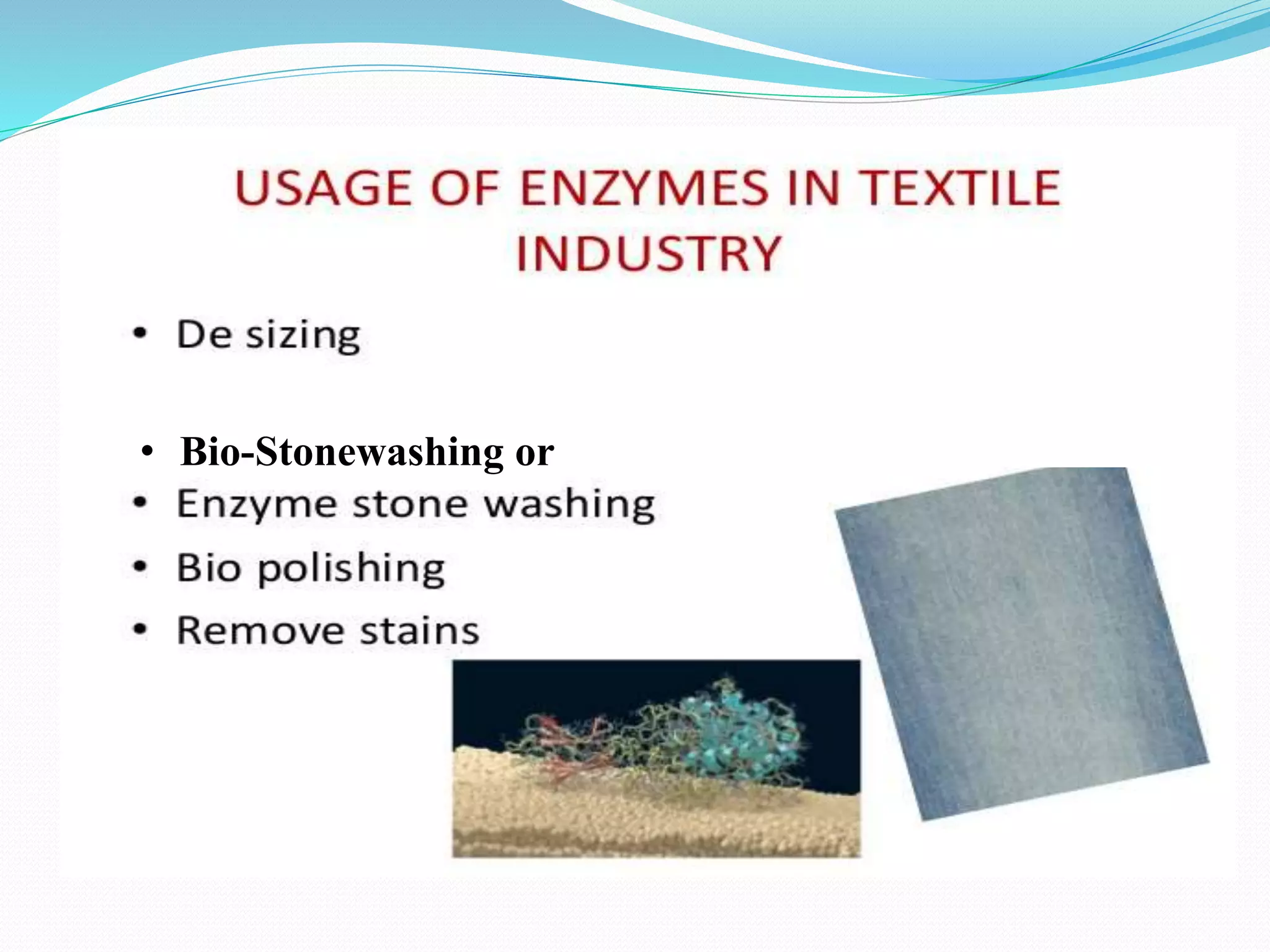 Industrial applications of enzymes | PPTX