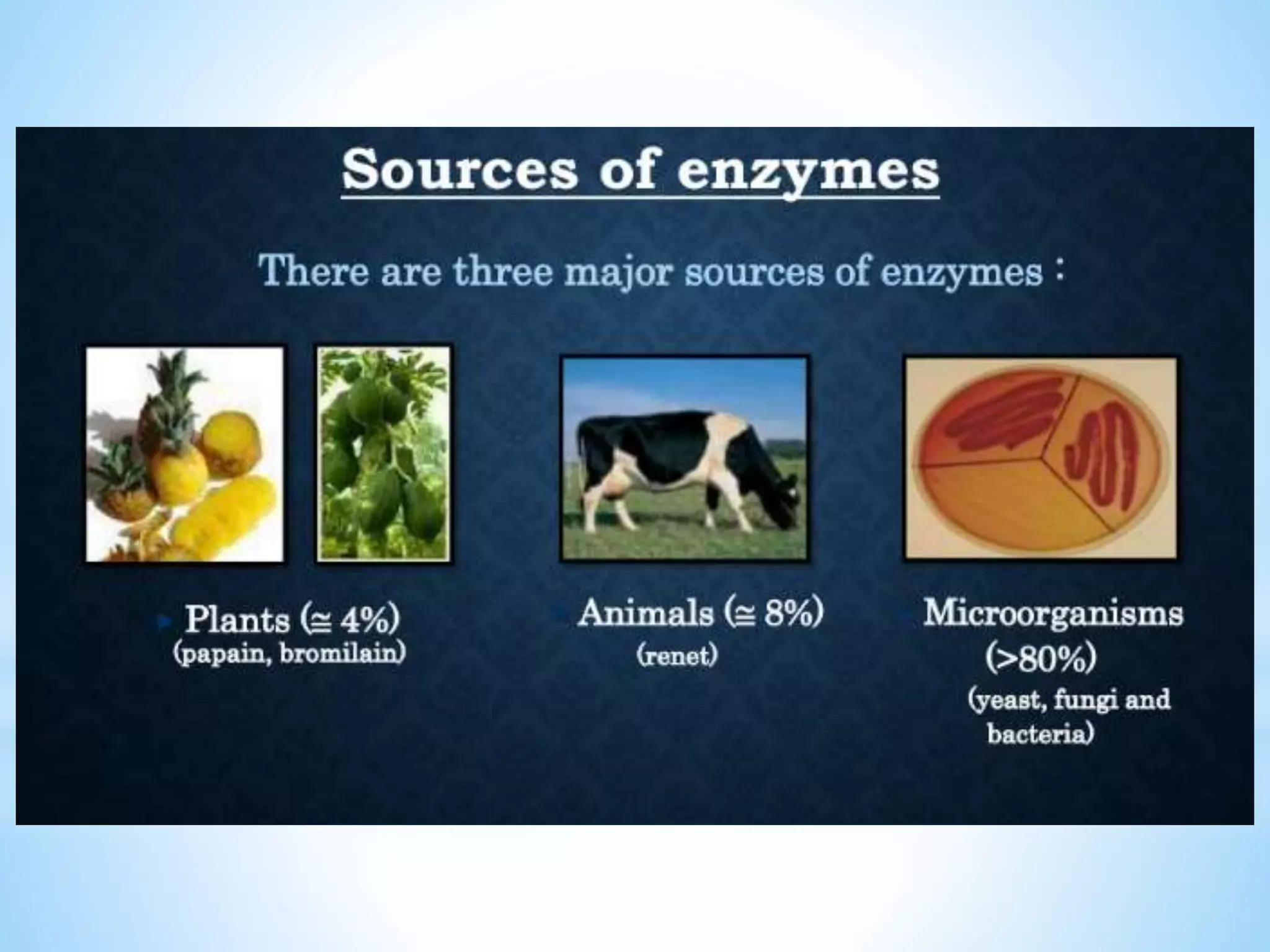 Industrial Applications of Enzymes.pptx