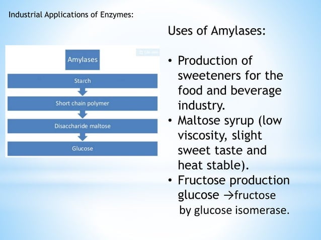 Industrial Applications of Enzymes.pptx | Chemistry | Science