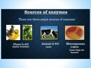 Industrial Applications of Enzymes.pptx