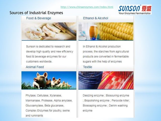 Industrial Applications of Enzymes.pptx | Chemistry | Science