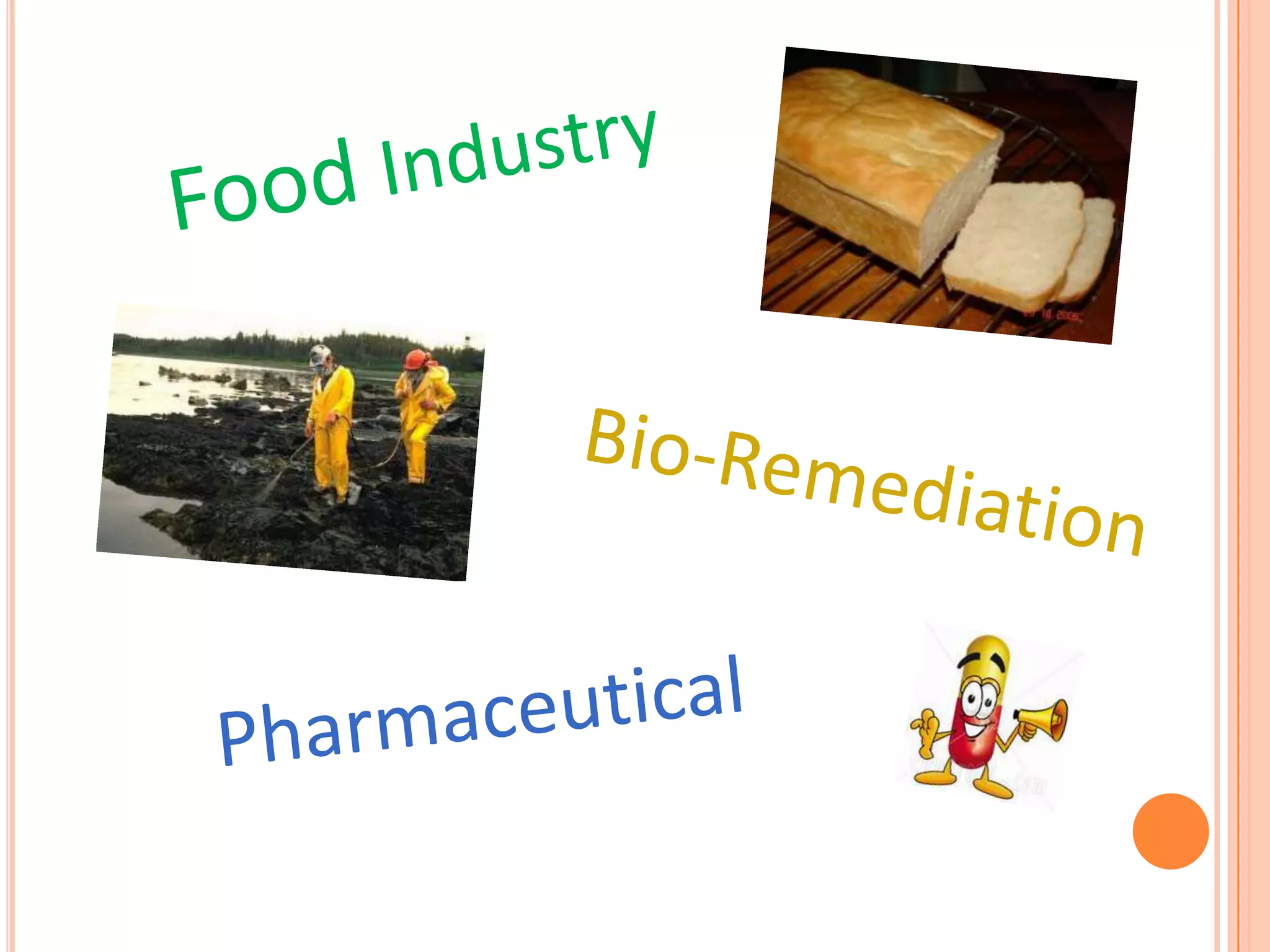 Industrial Applications Of Micro Organisms | PPTX