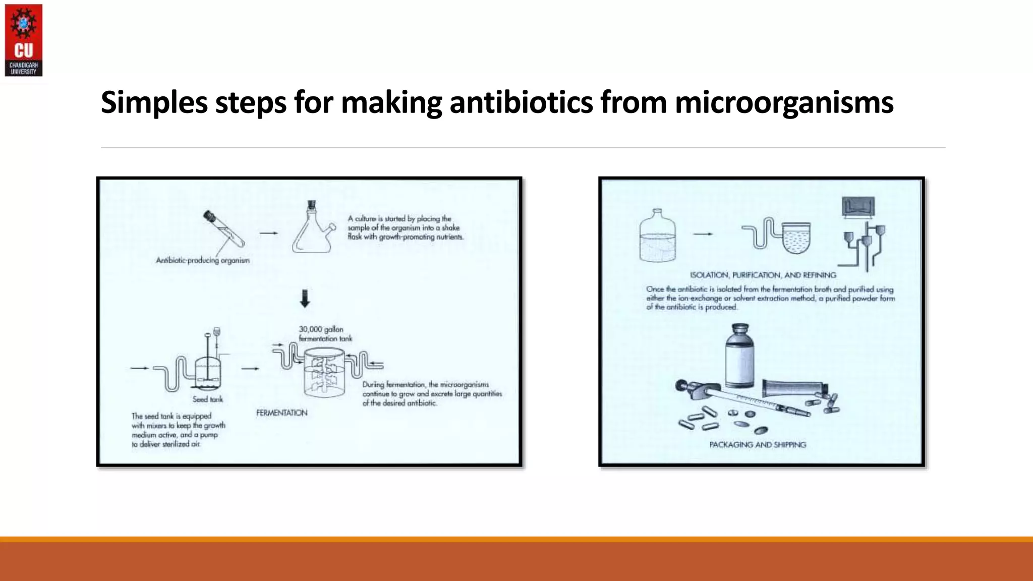 Industrial applications of microorganisms.pptx