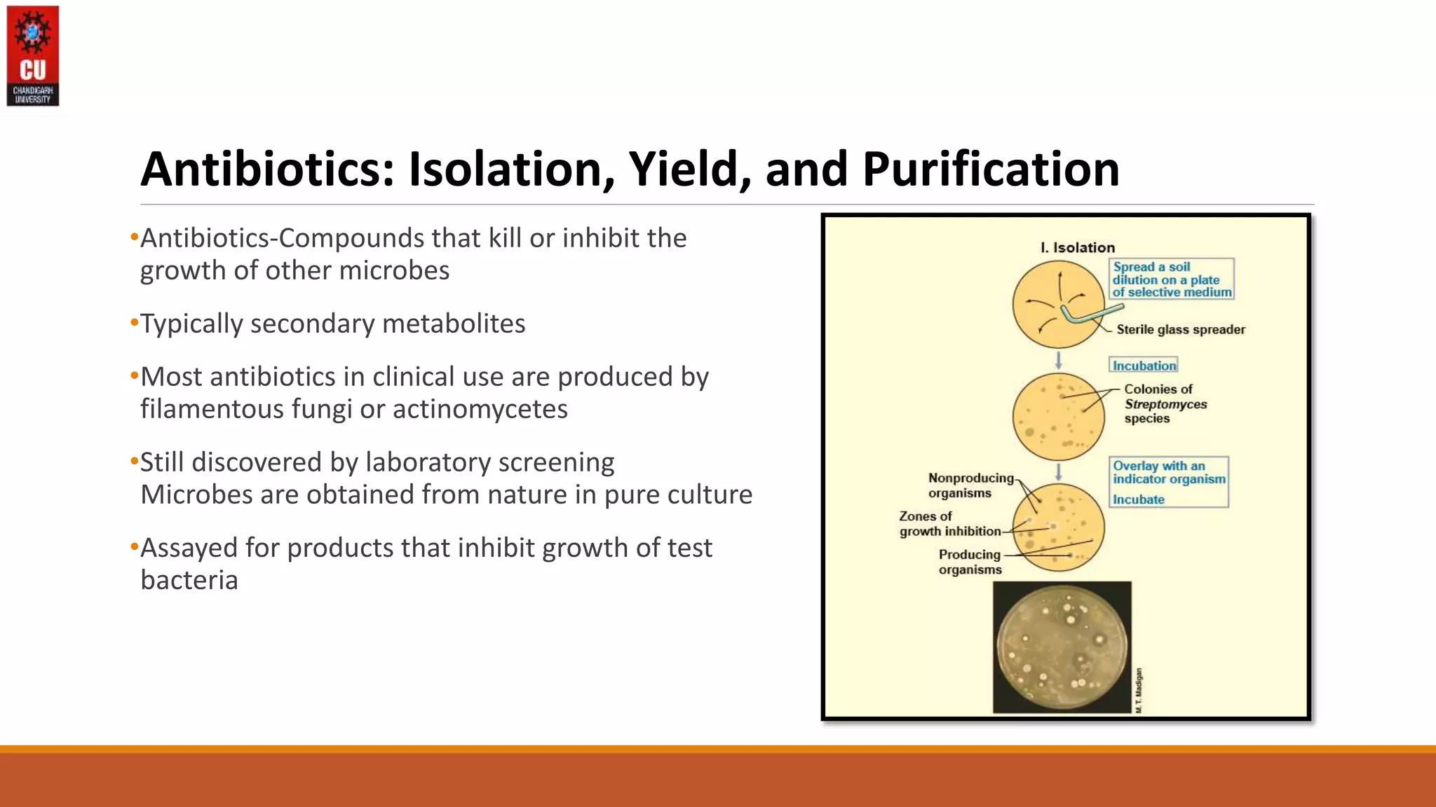 Industrial applications of microorganisms.pptx