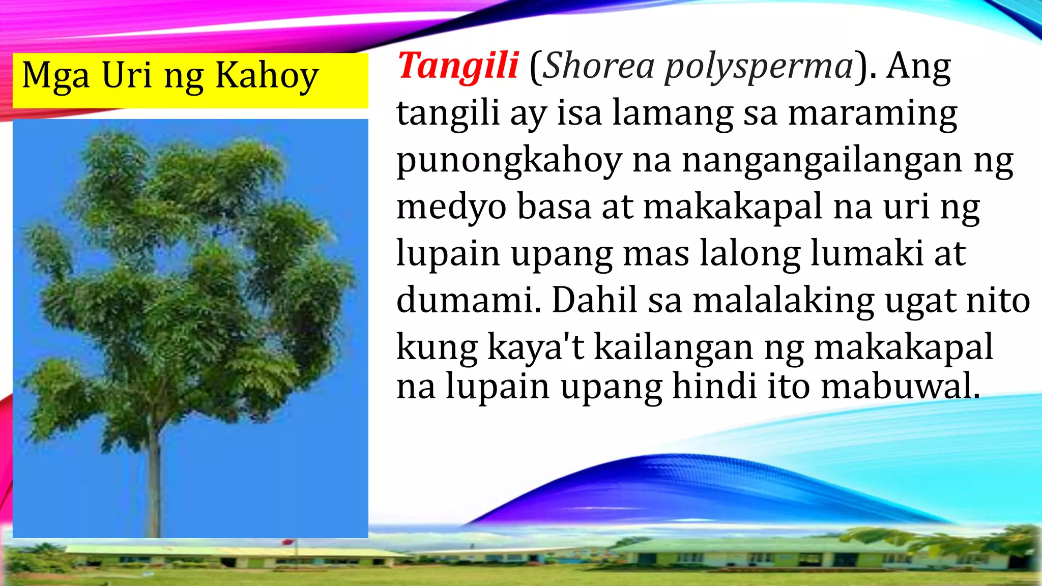 Industrial arts | PPTX