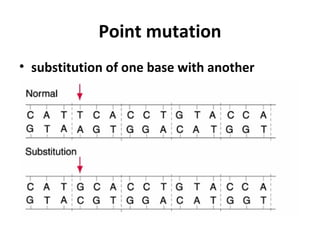 Industrial biochemistry 1 1 | PPT