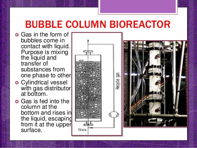 Industrial bioreactors