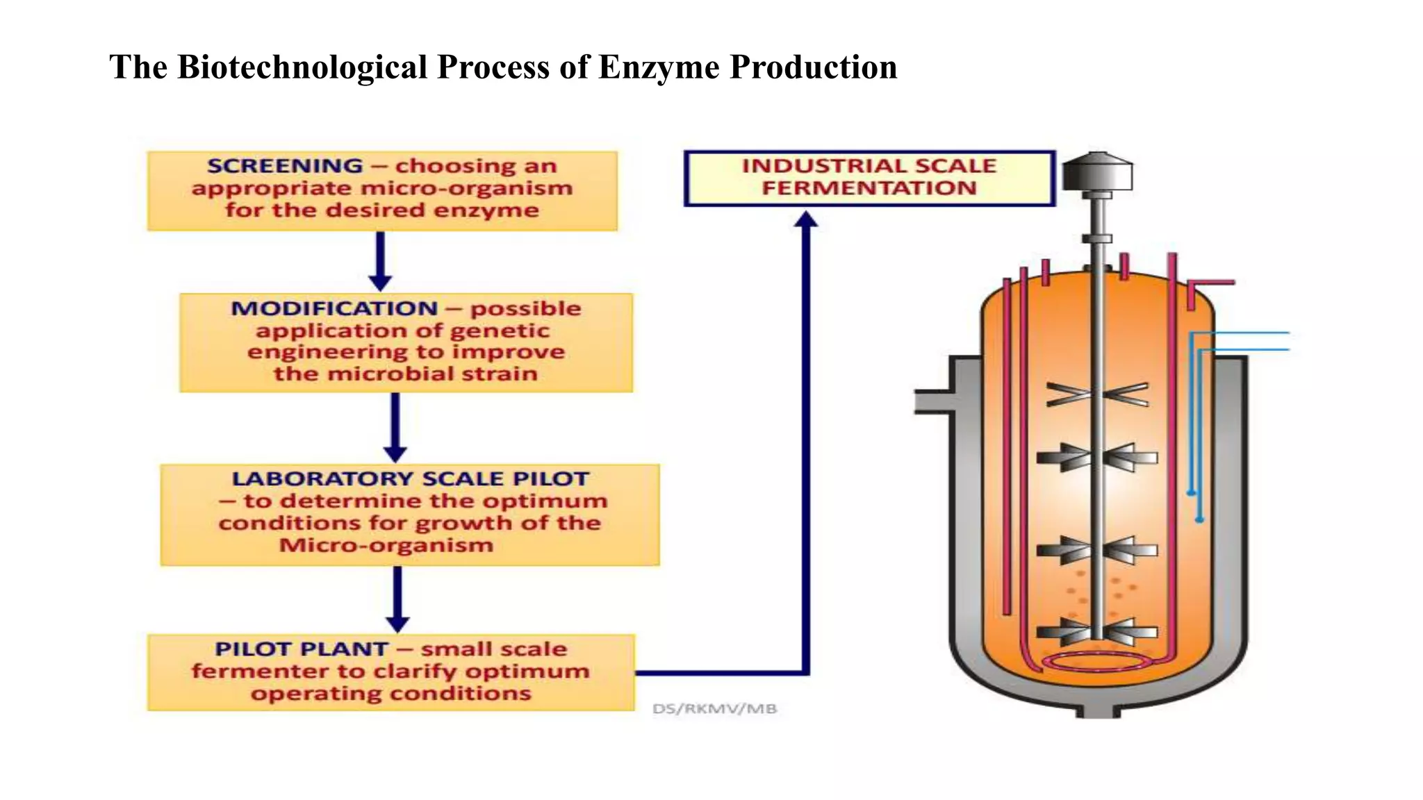 fermentation technology | PPT