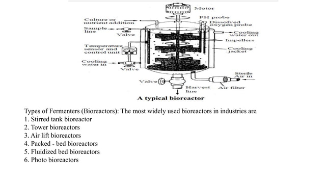 fermentation technology | PPT