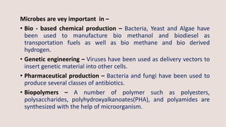 Industrial biotechnology presentattion | PPTX