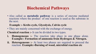 Industrial biotechnology presentattion | PPTX