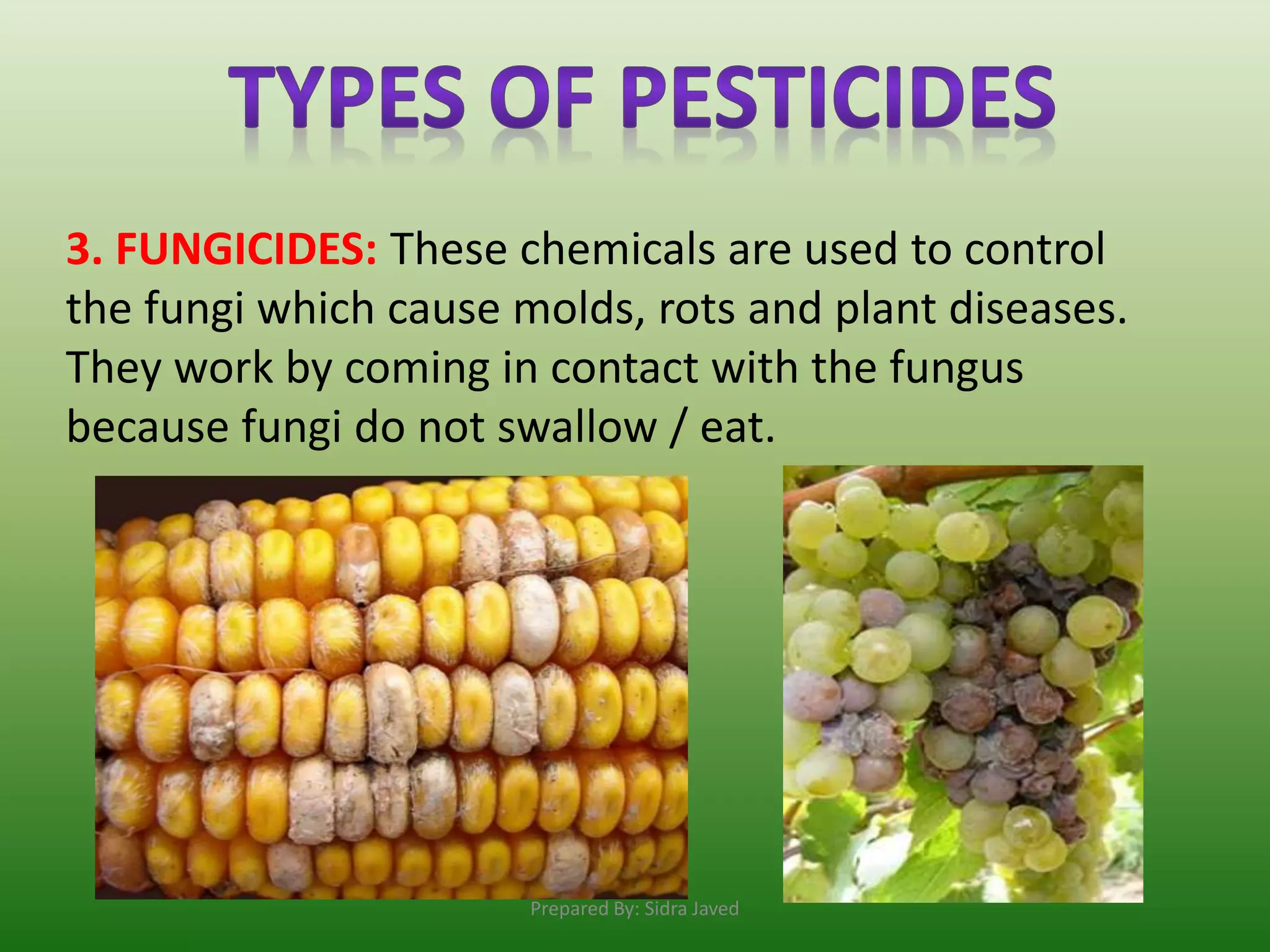 Pesticides | PPTX