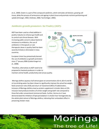 Industrial, commercial, food and nutraceutical application of moringa ...
