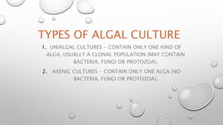 Industrial culture algae, uses of algae, type of culture of algae ...