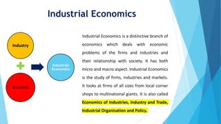 Industrial economics (1) | PPT