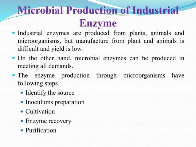 Industrial enzyme | PPTX | Chemistry | Science
