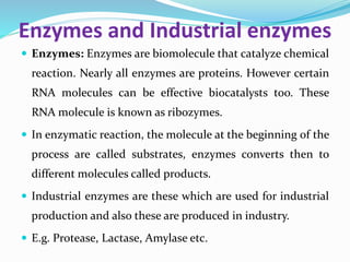 Enzymes In Industry