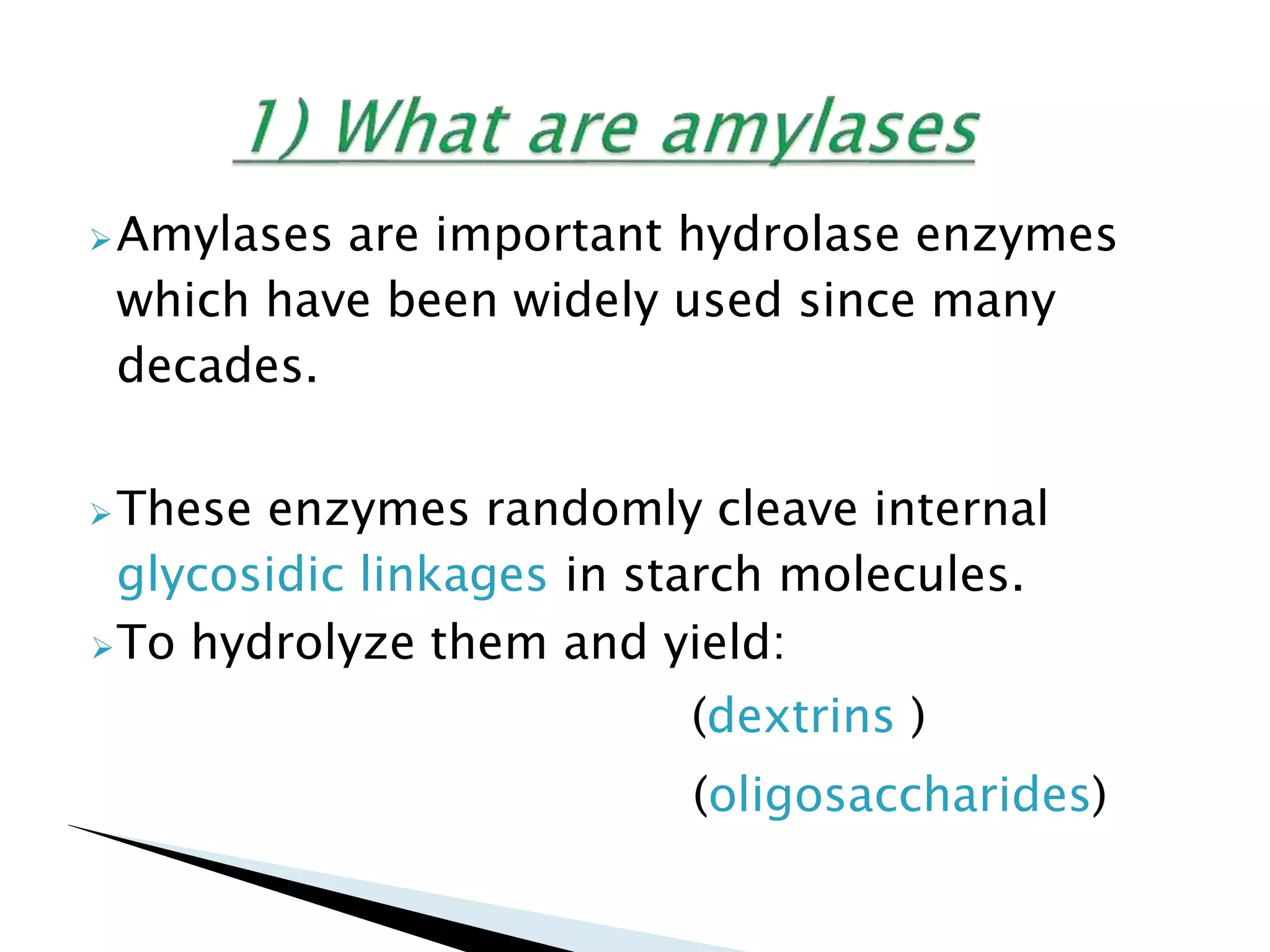 Industrial Enzyme Amylase.pptx+ | PPTX
