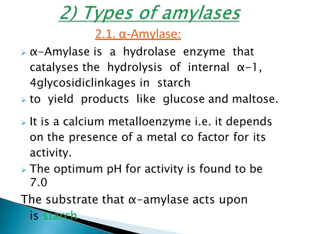 Industrial Enzyme Amylase.pptx+ | PPTX