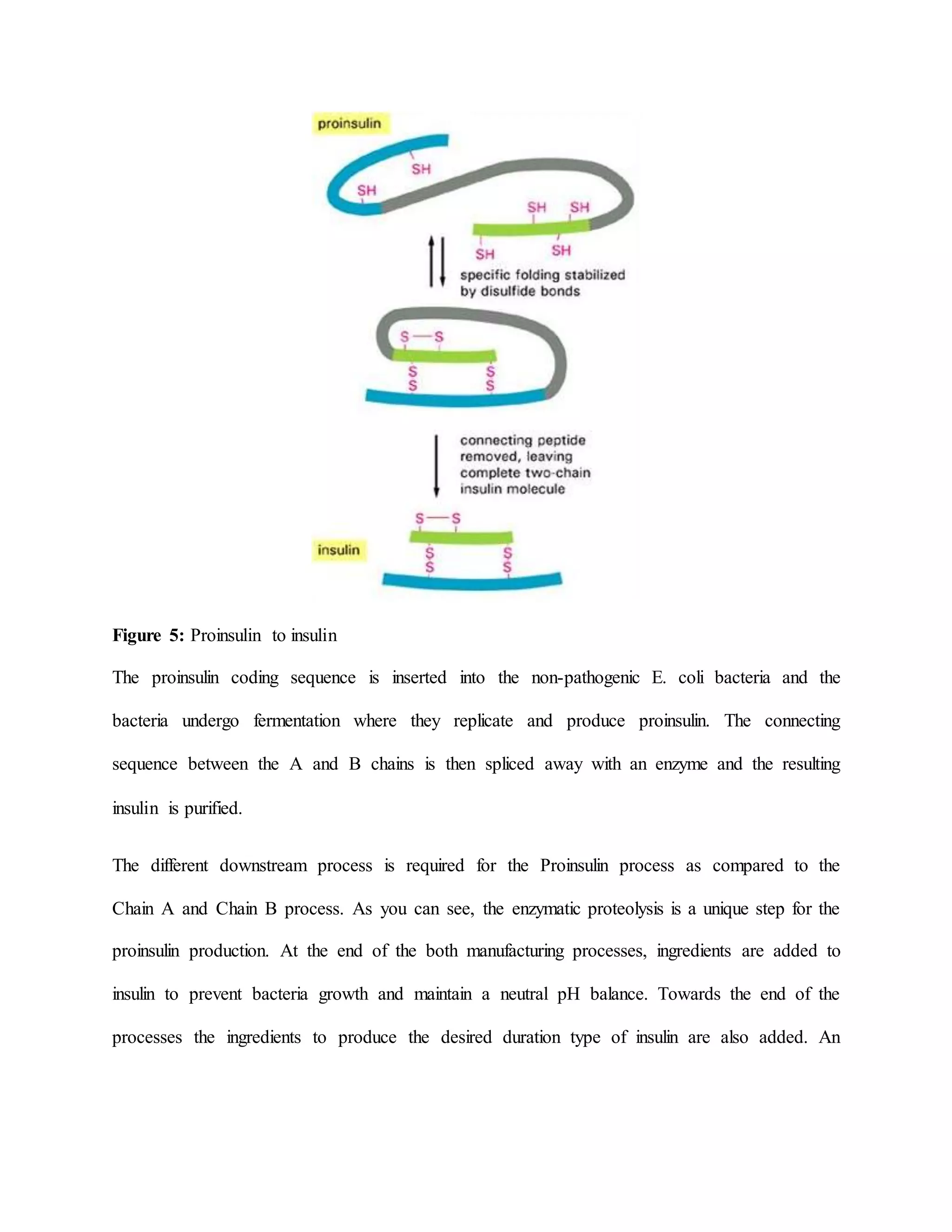 Industrial Production of Insulin | DOCX