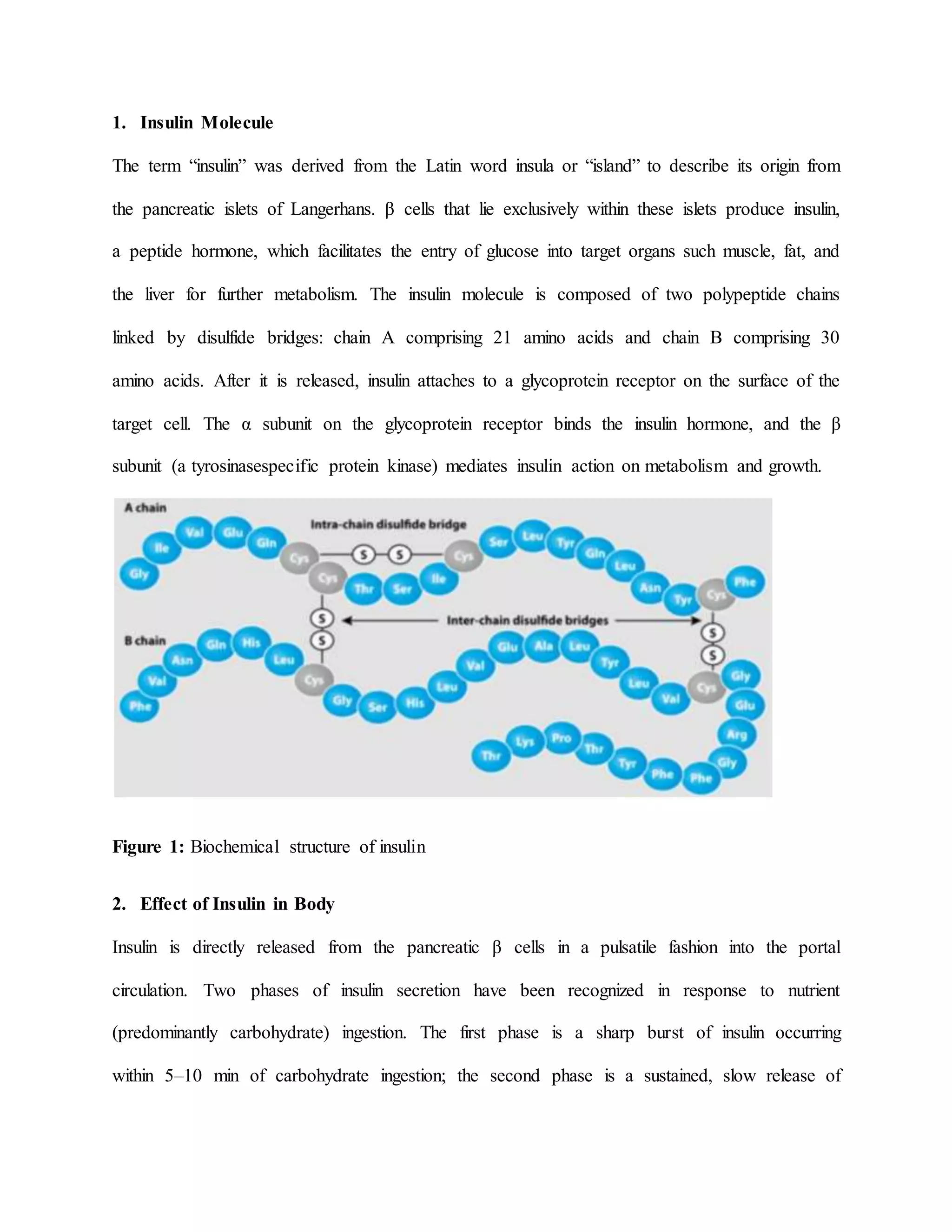 Industrial Production of Insulin | DOCX