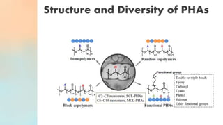 Grand Challenges for Industrializing Polyhydroxyalkanoates (PHAs) | PPTX