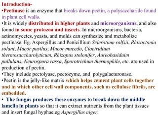 Industrial fungal metabolites enzymes pectinases | PPT
