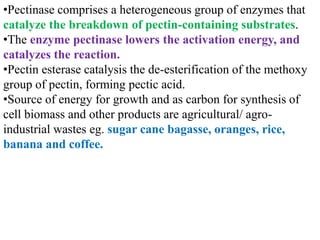 Industrial fungal metabolites enzymes pectinases | PPTX